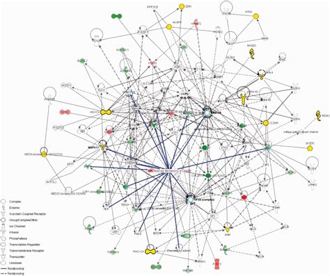 Functionally Related Pathways Of Aberrantly Methylated And