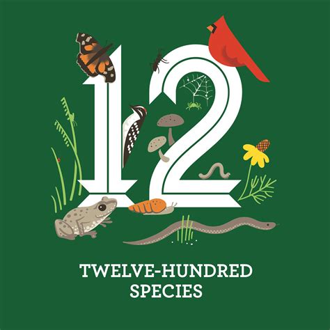 Twelve Hundred Species Twelve Hills Nature Center