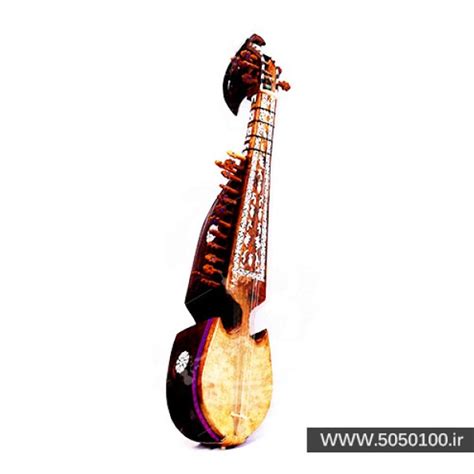 رباب افغانی فروشگاه شهر موسیقی