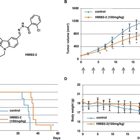 Pull Down Assay With Biotin Conjugated Compounds A Chemical Download Scientific Diagram