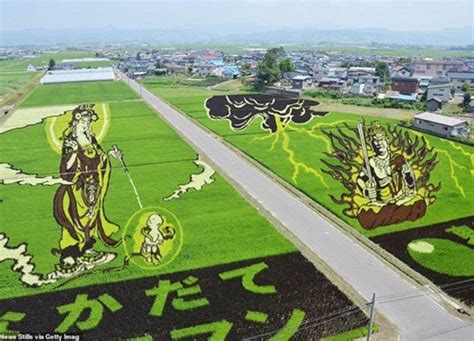 Cánh đồng Lúa Hay Siêu Phẩm Nghệ Thuật Của Nông Dân Nhật Bản Du Lịch