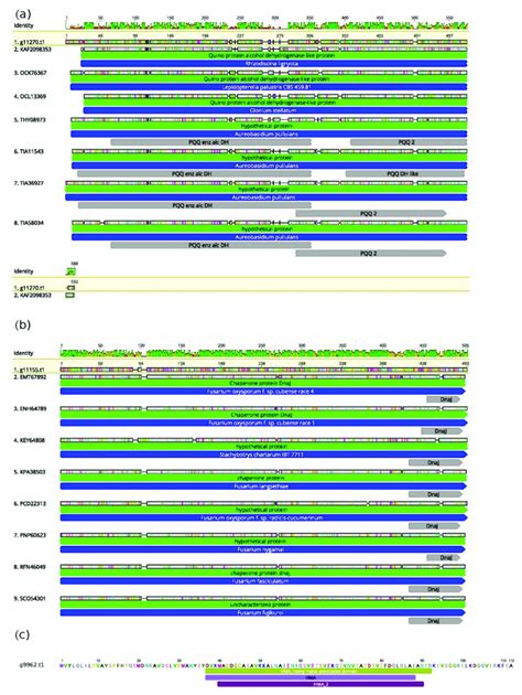 Trichoderma Lixii Mut3171 Peculiar Genomic Features Linked To Survival Download Scientific