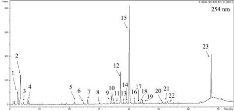 The Ultra High Performance Liquid Chromatography Diode Array Detector Download Scientific
