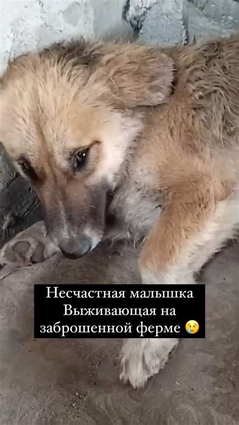 Ninel 💫 Верите ли вы в чудеса Кто то ищет божий промысел в мелочах а кто то скептически