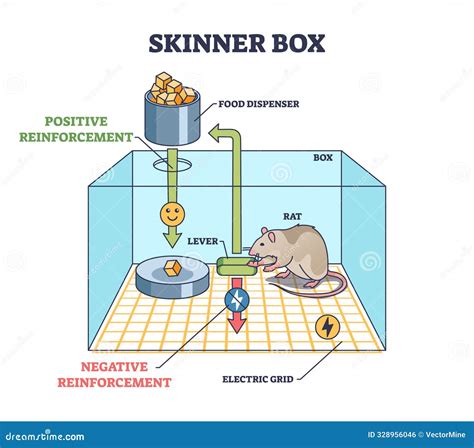 Skinner Box And Operant Conditioning Chamber Experiment Outline Diagram Stock Vector