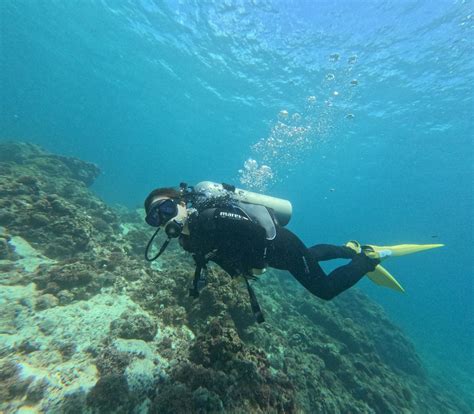 막탄 앞바다에도 볼거리가 많아요 찐다이브 사진갤러리 막탄 앞바다에도 볼거리가 많아요 찐다이브 사진갤러리
