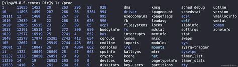 Linux系列文章 —— 进程概念（图解pcb、进程的描述、状态、创建、组织、查看详解）选择创建新进程、查看运行进程、暂停某个进程或者杀死某个进程流程图 Csdn博客