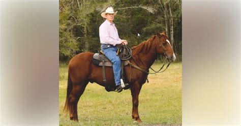 Clyde W Bailey Villages