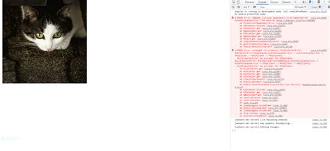 Error Ng0200 Circular Dependency In Di E Nullinjectorerror Angular