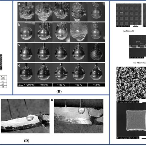 Different Nozzle Structure And Spray Distribution Effect A Download Scientific Diagram