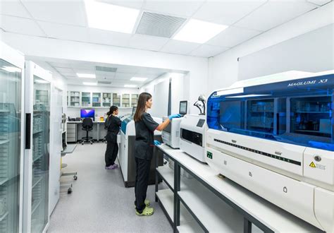 Διάγνωση Αλλεργιών Alex² Allergy Explorer Διαγνωστικό Σταυρούλη