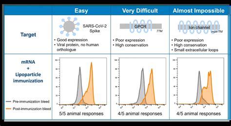 Native Antigen Design For Antibody Discovery