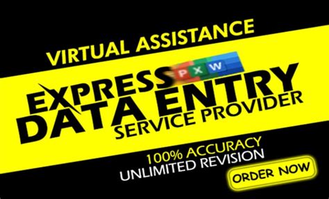 Do Data Entry Typing Work Copy Paste Excel Word Pdf By Jasmine Pr0