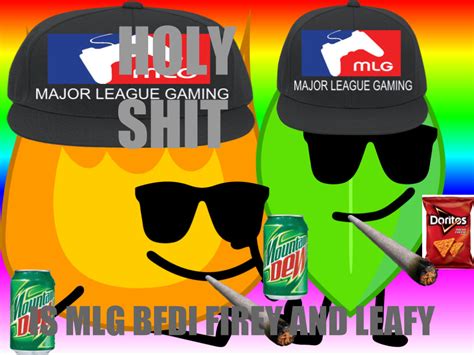 Mlg Bfdi Firey And Leafy Image Meme By Twsastebt707 On Deviantart