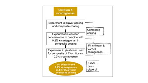 Flow Diagram Of Preliminary Experimental Design Download Scientific