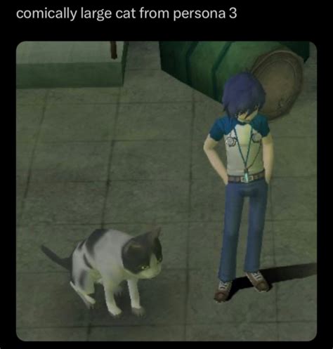 Db Bu Cores Tier List Community Rankings Tiermaker