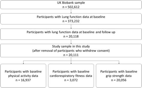 The Longitudinal Association Between Physical Activity Strength And