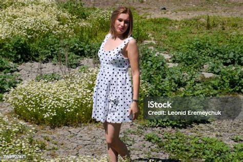 물방울 무늬가 있는 흰 드레스에 여자는 데이지와 함께 글레이드에 있습니다 개화 데이지 결혼식에 대한 스톡 사진 및 기타 이미지 결혼식 금발 머리 긴 Istock