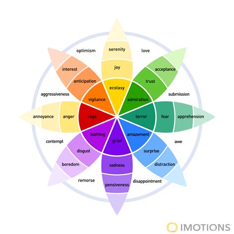 How Many Emotions Are There And How Do They Manifest Imotions