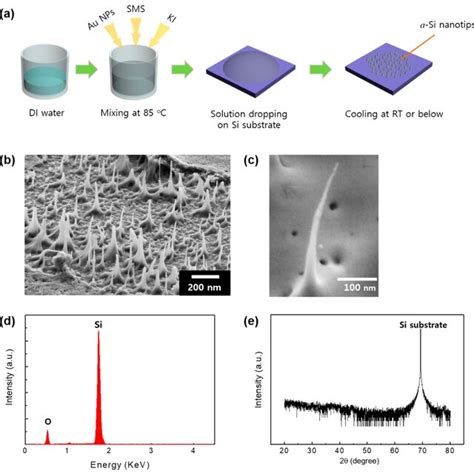 Schematic Illustration Of A Si Nanotip Growth Download Scientific Diagram