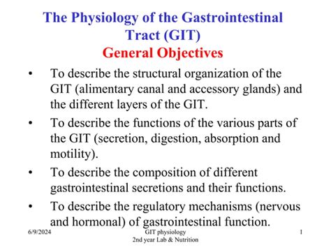 Git Bs Pptx About Human Body Their Structure And Pptx