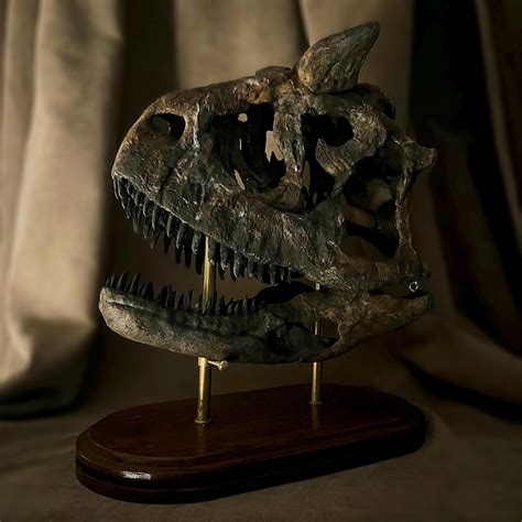 Carnotaurus Sastrei Skull Replica Realistic Dinosaur Fossil Replica