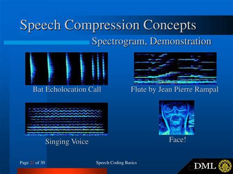 PPT Speech Coding Basics PowerPoint Presentation Free Download ID 4132665