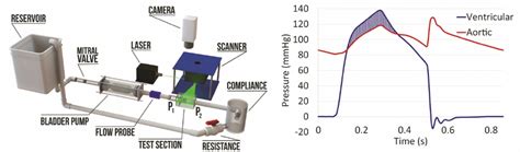 In Vitro Pulsatile Flow System Georgia Tech Left Heart Simulator
