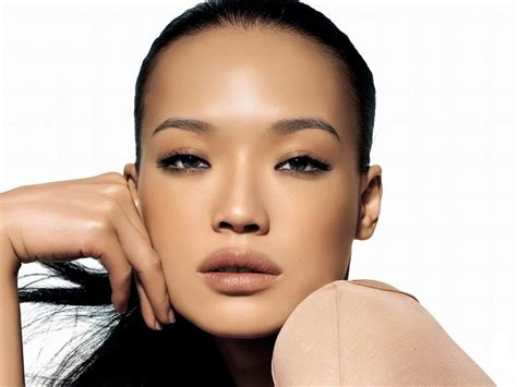 Art Print Poster Canvas Shi Qi 8 3x11 7 Inches