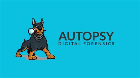 How To Forensically Analyze A Disk Using Autopsy By Arunkl