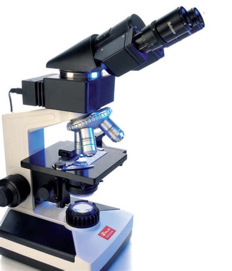Optical Biosystems Inc At Wilbur Pritt Blog