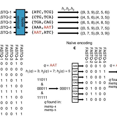 What Is Meant By Sequence Data At Albert Prowell Blog