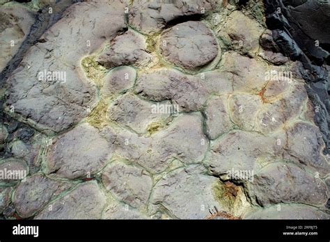 What Is A Pillow Lava At Robert Hambright Blog