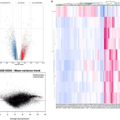 Gene Expression Analysis A A Volcano Graphic Illustrates Data On