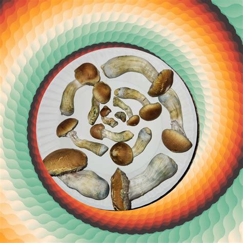 Weeeeeeeeeeeeeeeeeeeeeeeeee Rshroomers