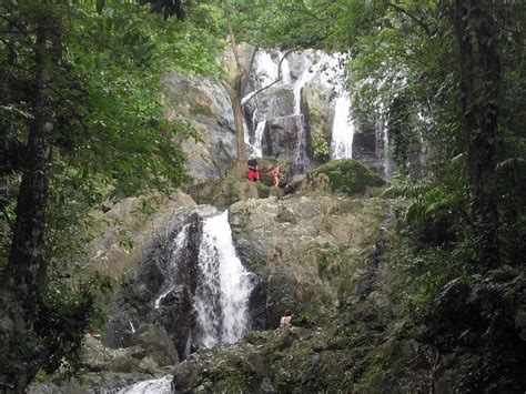 Argyle Waterfall Destination Trinidad And Tobago Tours Holidays