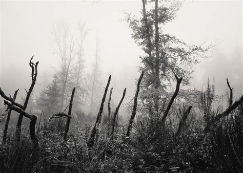 Alex Wesche 1 On Landscape