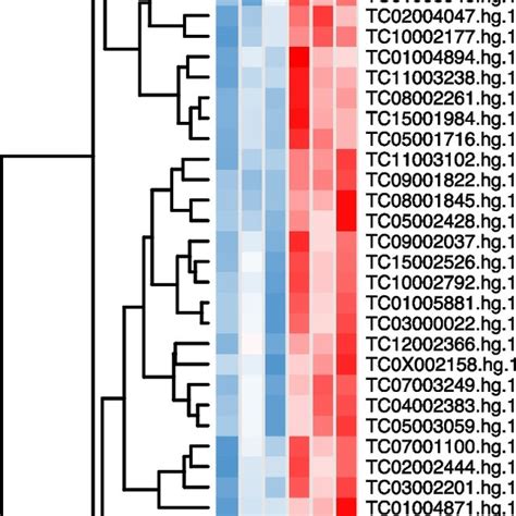 Differentially Expressed Lncrnas Were Shown In The Heatmap Between The Download Scientific