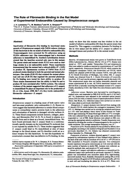 The Role Of Fibronectin Binding In The Rat Model Of Experimental Endocarditis Caused By