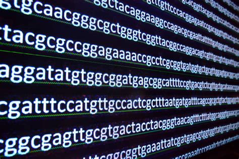 10 Nucleoplasm Ilustrasi Grafik Vektor And Clip Art Bebas Royalti Terbaik Istock