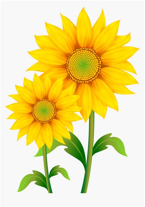 Sunflower Clipart Png Image Diy Sunflower Crafts Sunflower Vector