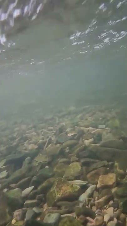 의성 점곡계곡 Youtube