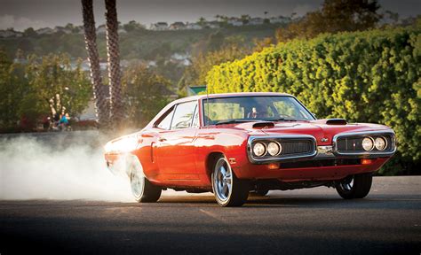 Super Bee With Extraordinary Sting Motortopia Everything Automotive