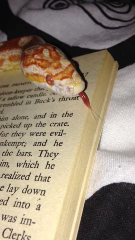 You Can Hear Her Little Tongue Hit The Pages Tumbex