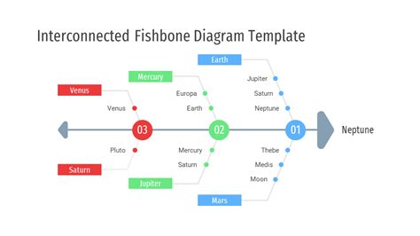 Interconnected Fishbone Diagram