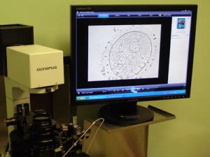 Andrology Laboratory Genes Fertility Institute