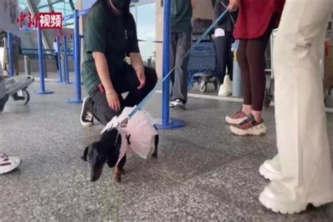 关于印发健康中国行动—心脑血管疾病防治行动实施方案（2023—2030年）的通知 中新网