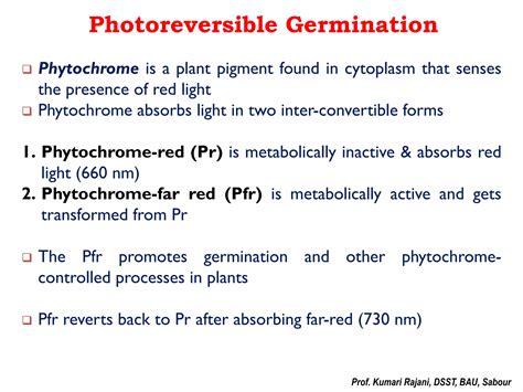 Seed Germination Testing Pdf