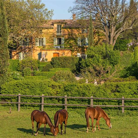 Provence Real Estate Atlanta Ga At Roseanna Morris Blog