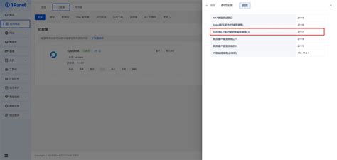 搭建免费远程控制软件rustdesk 阿里云 rustdesk csdn博客